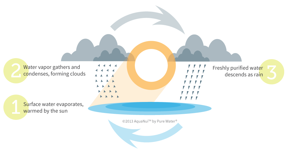 Why Distilled Water? - AquaNui™ by Pure Water®